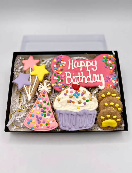 Celebration Boxes – Lucky Biscuit Pet Bakery