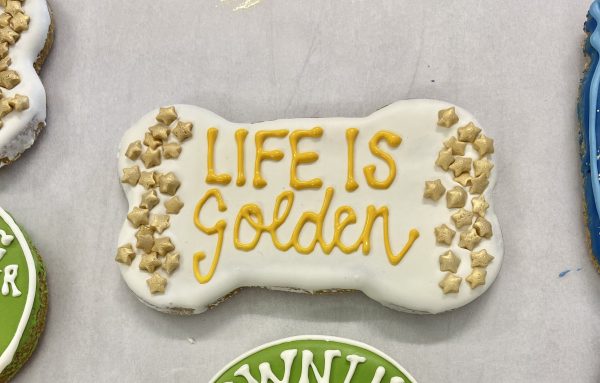 Custom Bone Cookie – Lucky Biscuit Pet Bakery
